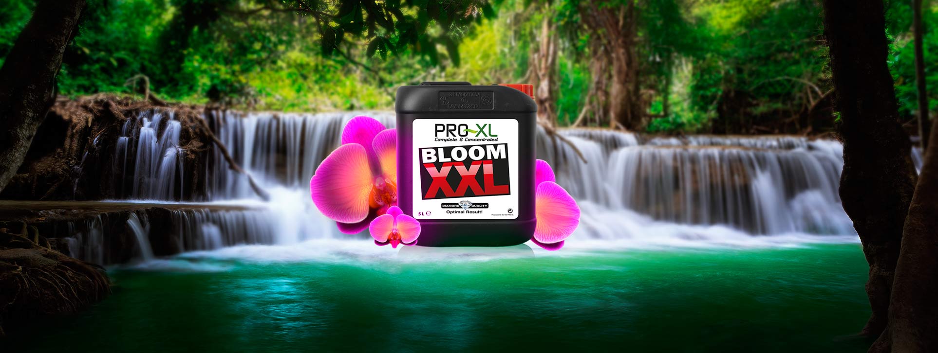 Pro-xl Complete & Concentrated – Complete & Concentrated